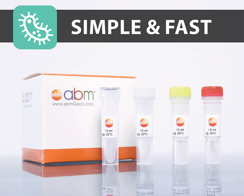黴漿菌快速 PCR 偵測套組 (Mycoplasma PCR Detection Kit) | abm 貨號 G238 – 太鼎生技